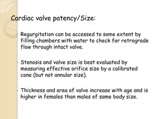 Autopsy dissection of heart and spinal cord | PPTX