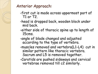 Autopsy dissection of heart and spinal cord | PPTX