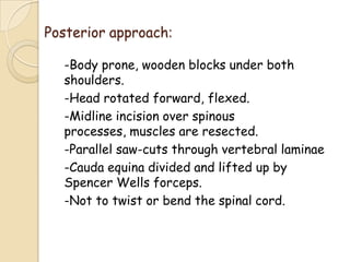 Autopsy dissection of heart and spinal cord | PPTX