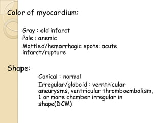 Autopsy dissection of heart and spinal cord | PPTX