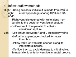 Autopsy dissection of heart and spinal cord | PPTX