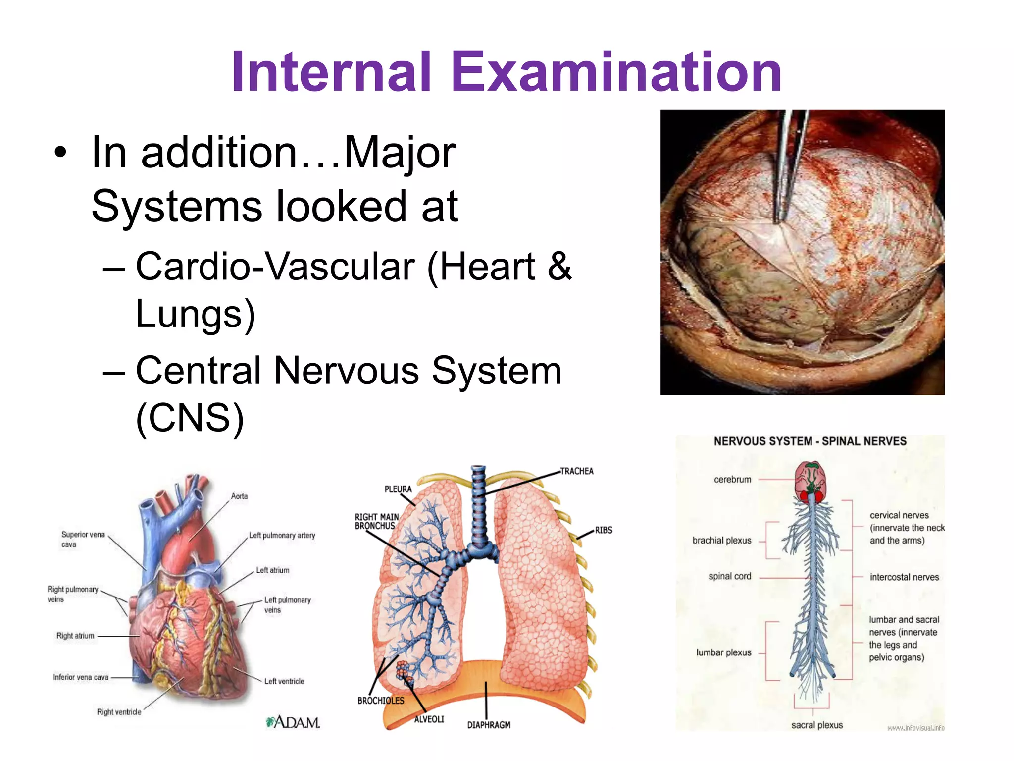 Autopsy, embalming, care of dead body | PDF