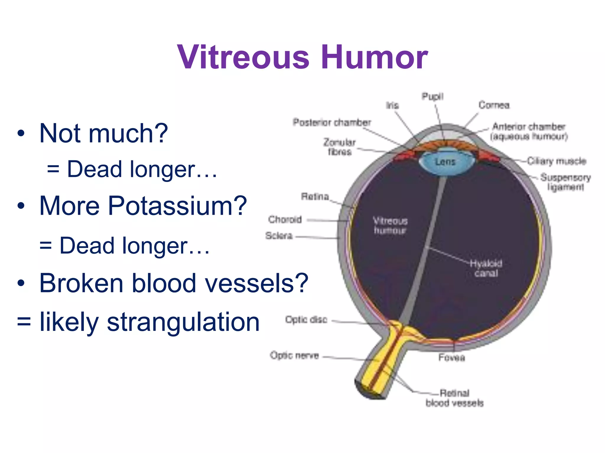 Autopsy, embalming, care of dead body | PDF