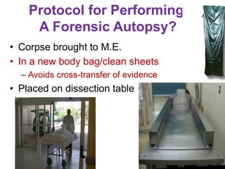 Autopsy, embalming, care of dead body | PDF