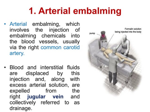 Autopsy, embalming, care of dead body | PDF