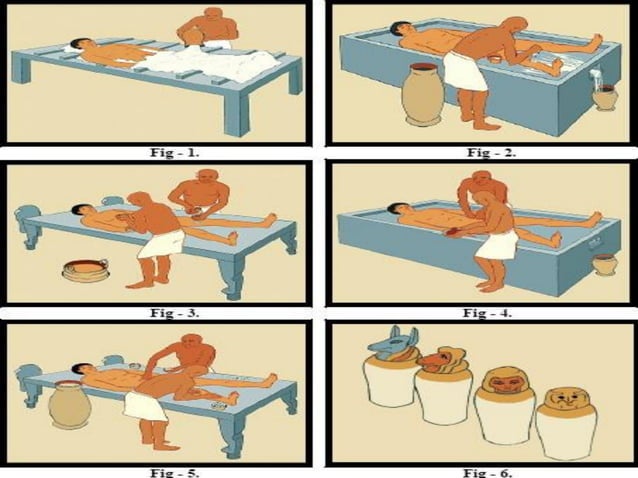 Autopsy, embalming, care of dead body | PDF