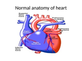 autopsy heart under forensic and investigation.pptx