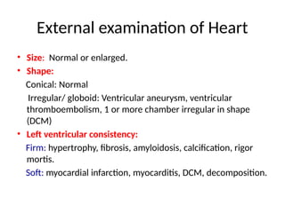 autopsy heart under forensic and investigation.pptx