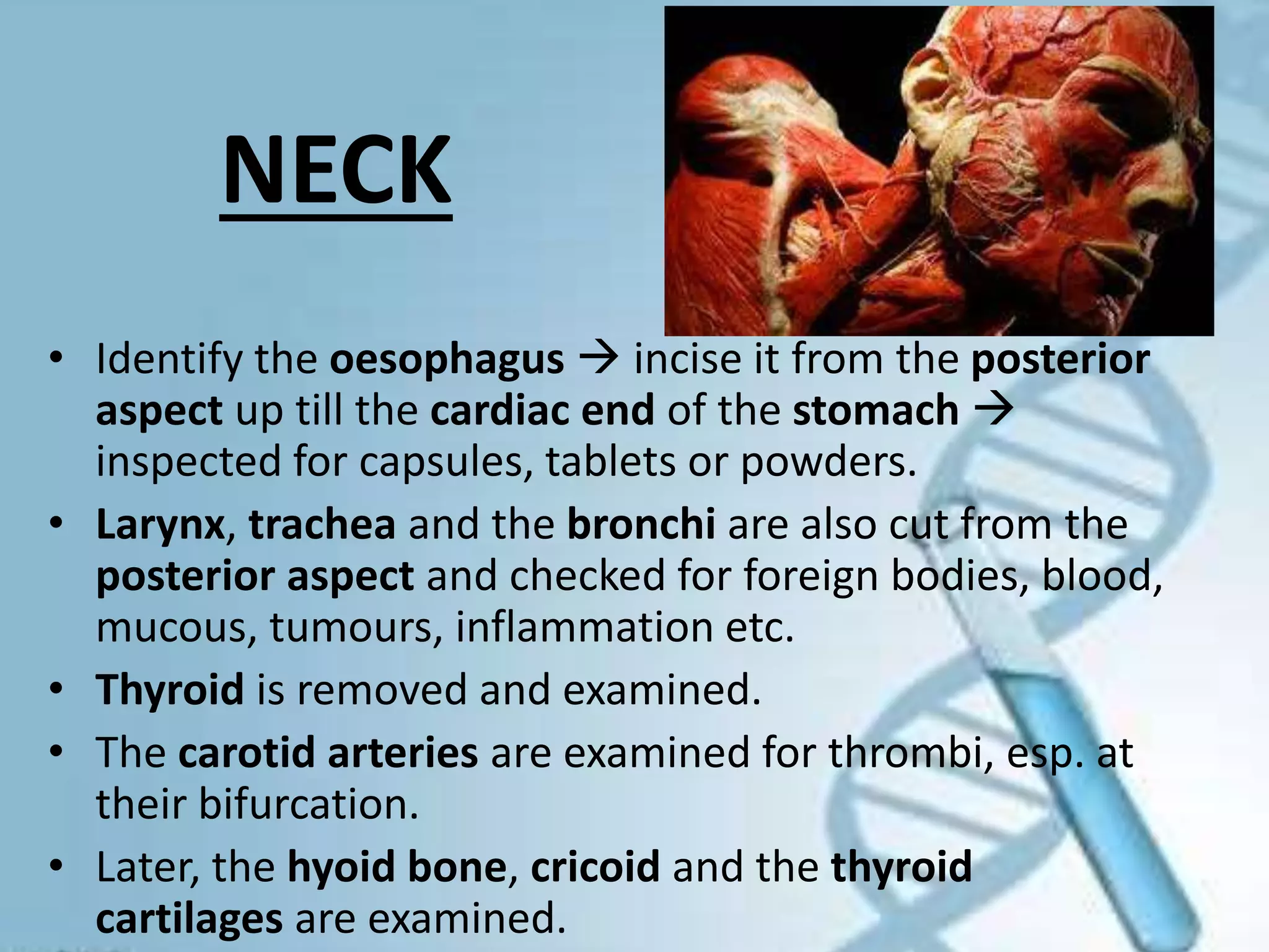 autopsyinternalexamination-140427110739-phpapp02 - Copy.pptx