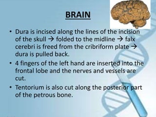 autopsyinternalexamination-140427110739-phpapp02 - Copy.pptx