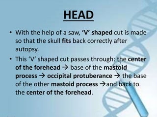 autopsyinternalexamination-140427110739-phpapp02 - Copy.pptx