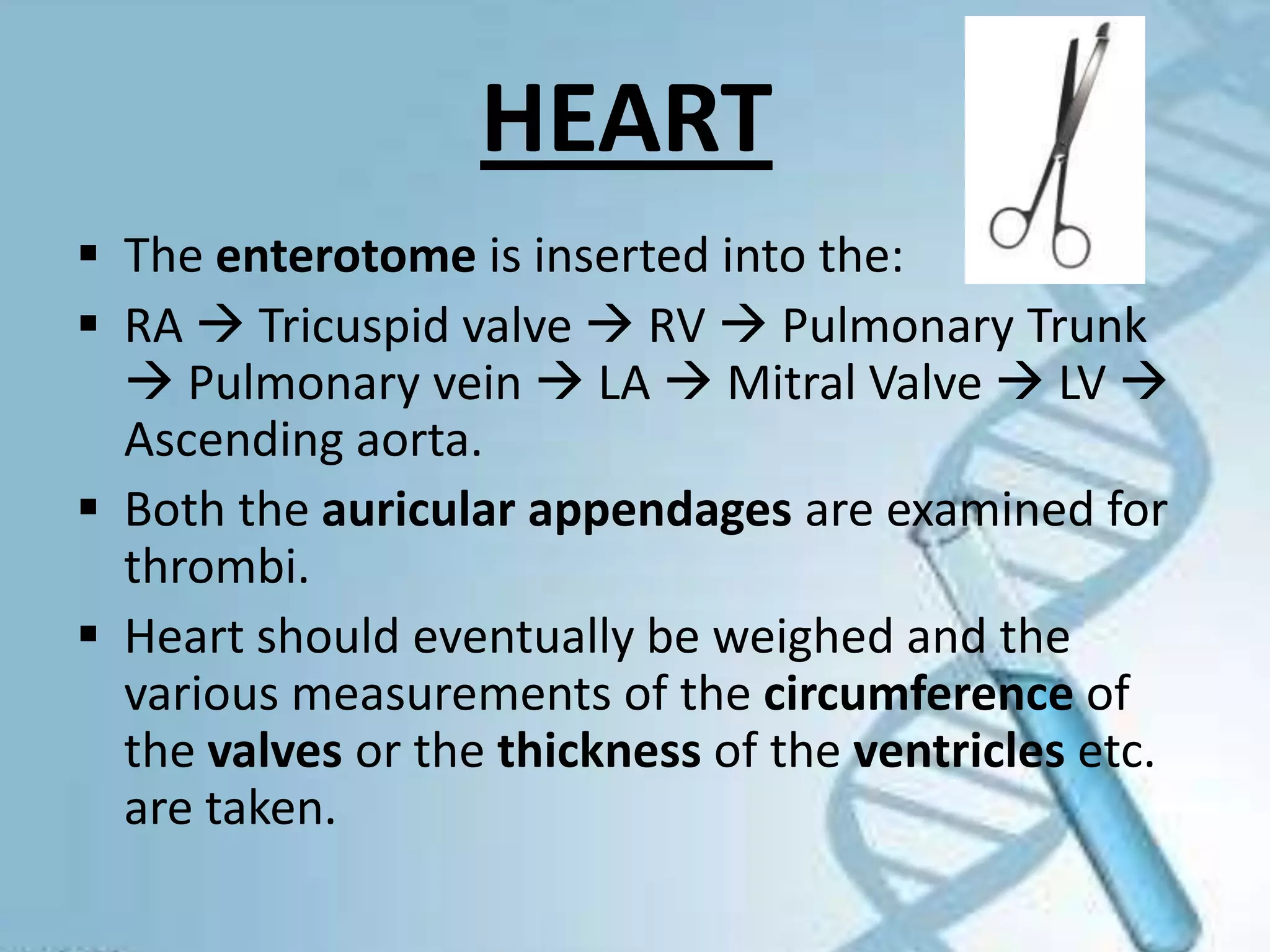 Autopsy internal examination, Forensic Medicine, Post-mortem ...