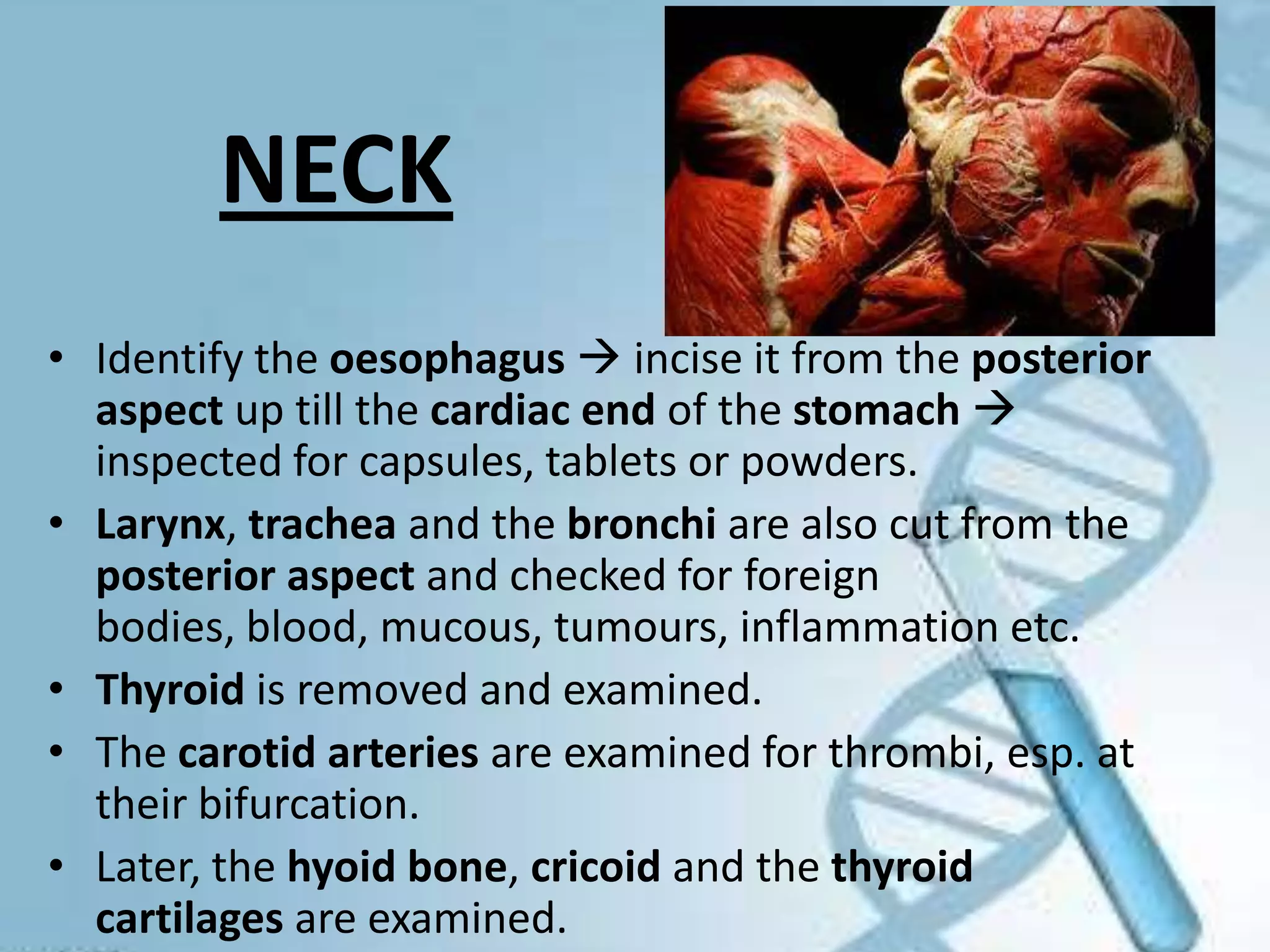 Autopsy internal examination, Forensic Medicine, Post-mortem ...