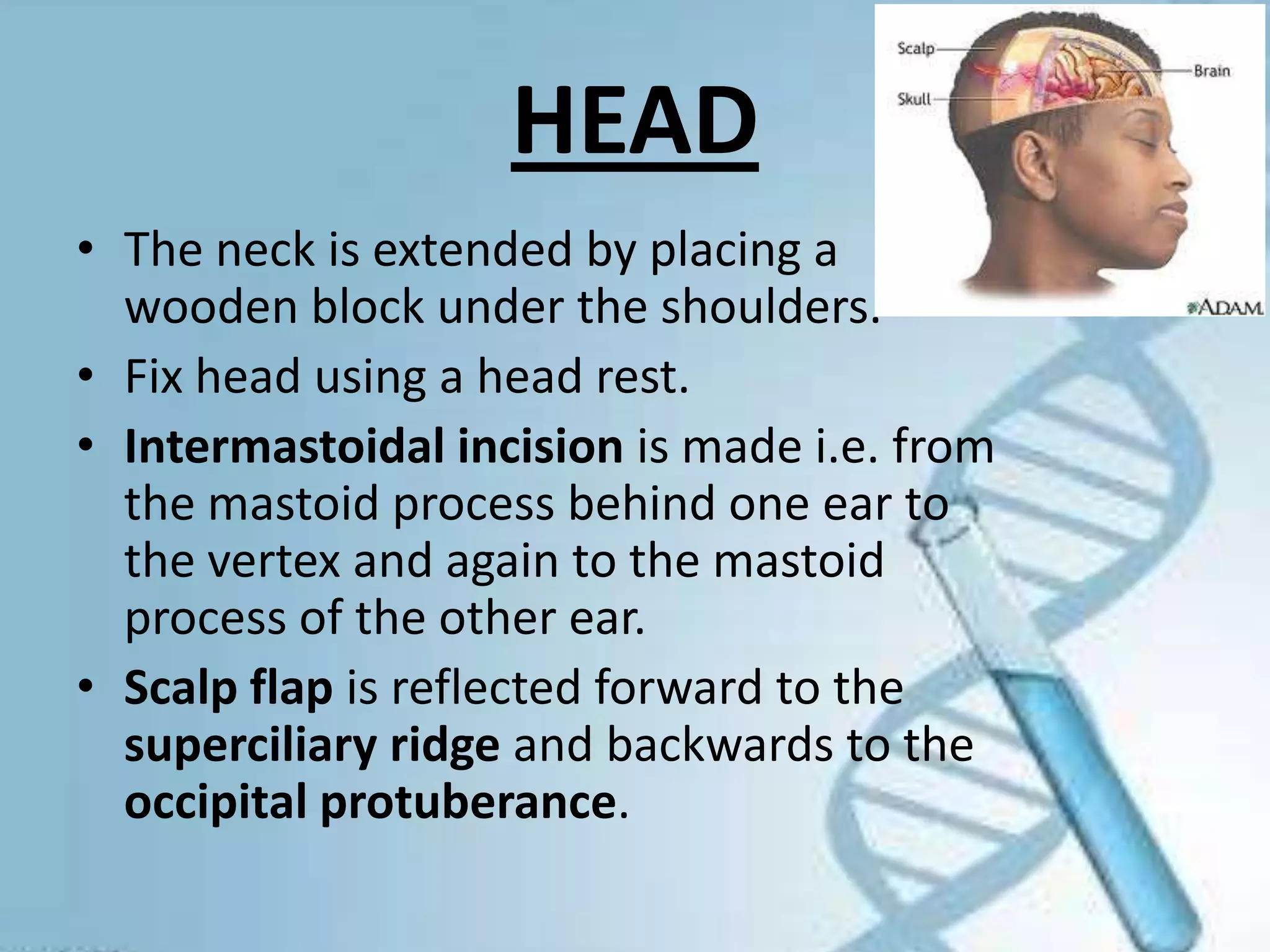 Autopsy internal examination, Forensic Medicine, Post-mortem ...