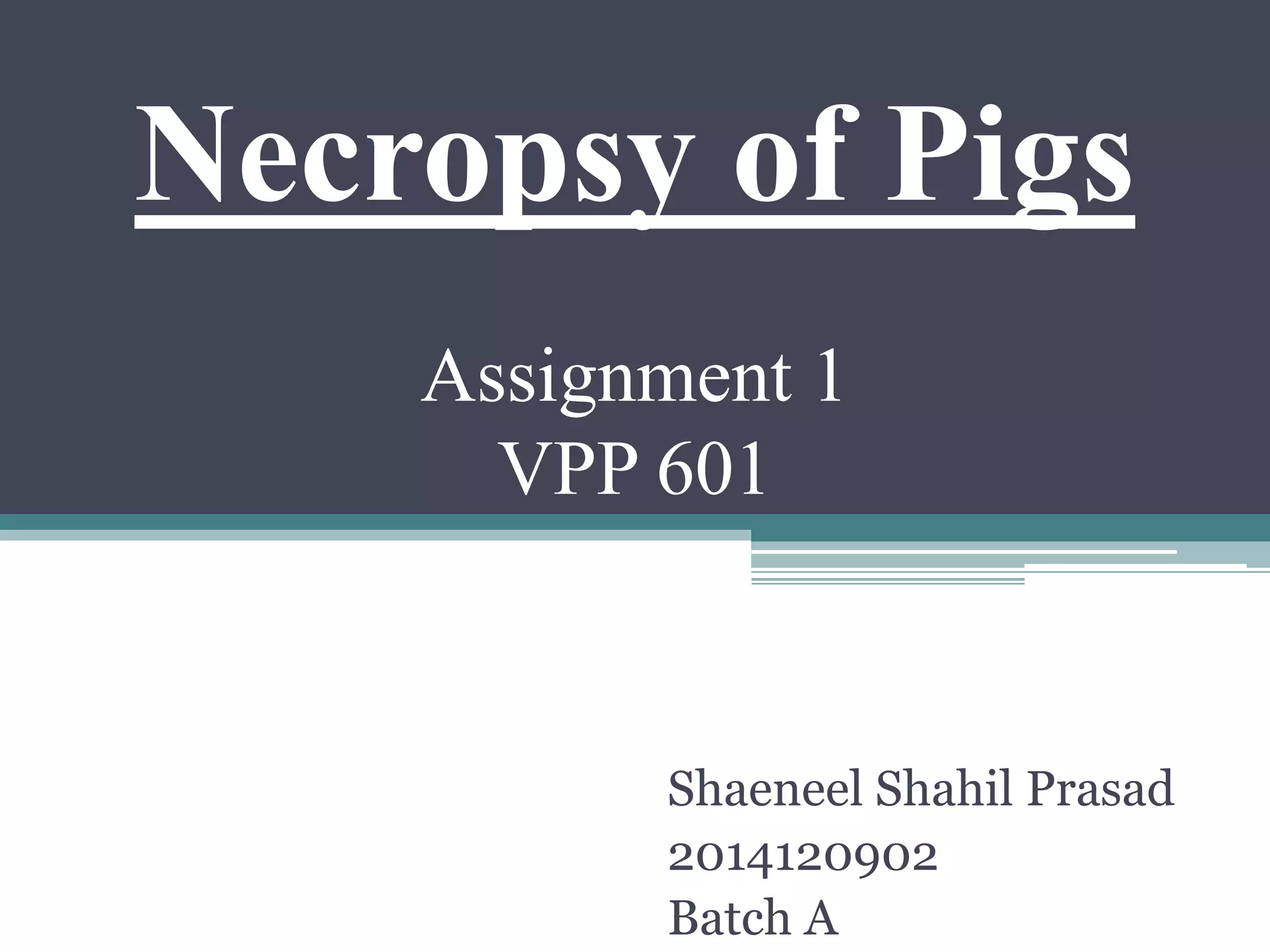 Autopsy of pig | PPTX