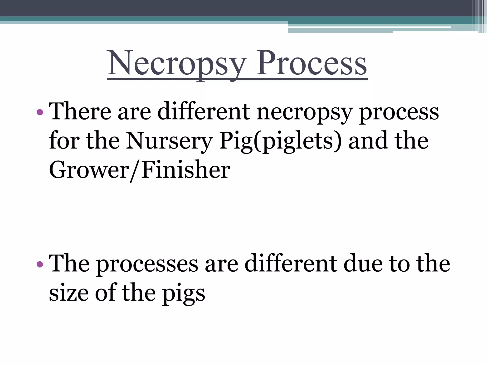 Autopsy of pig | PPTX