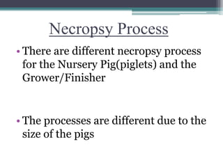 Autopsy of pig | PPTX