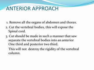 Autopsy procedure | PPTX