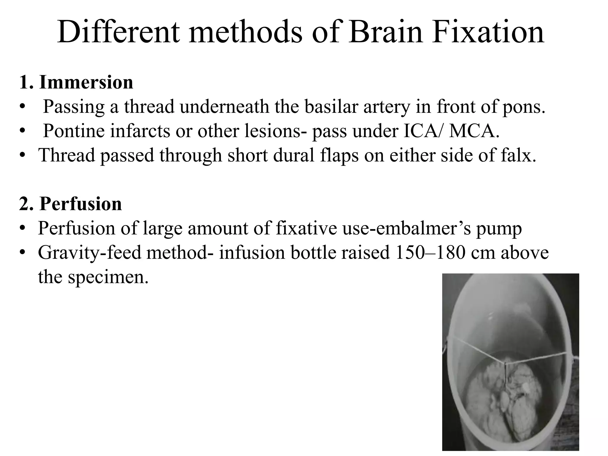Autopsy techniques.ppt
