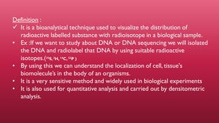 Autoradiography | PDF