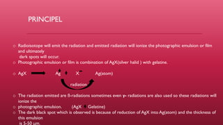 Autoradiography | PDF