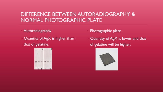 Autoradiography | PDF