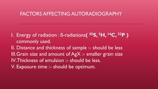 Autoradiography | PDF