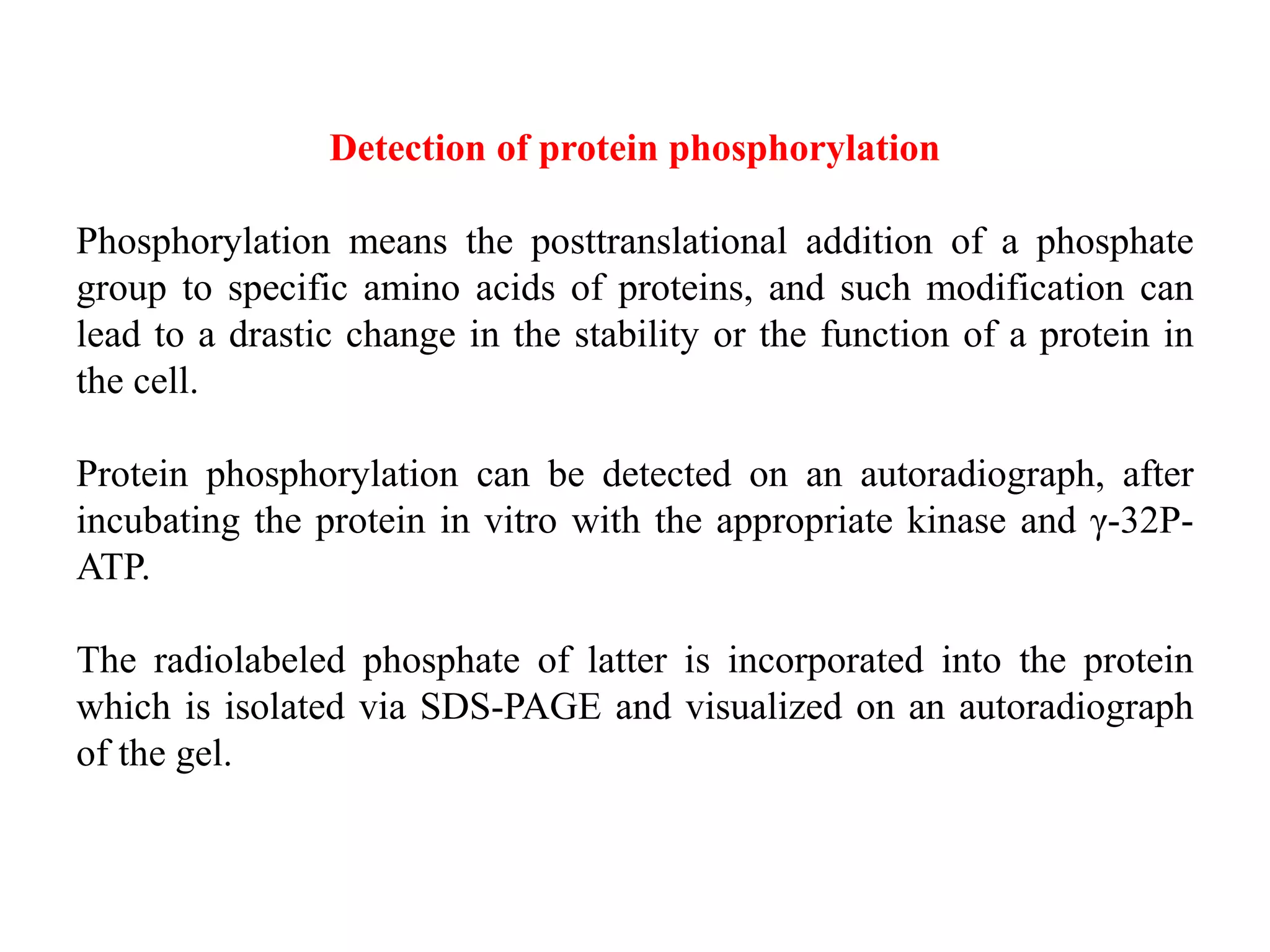 Autoradiography | PPTX