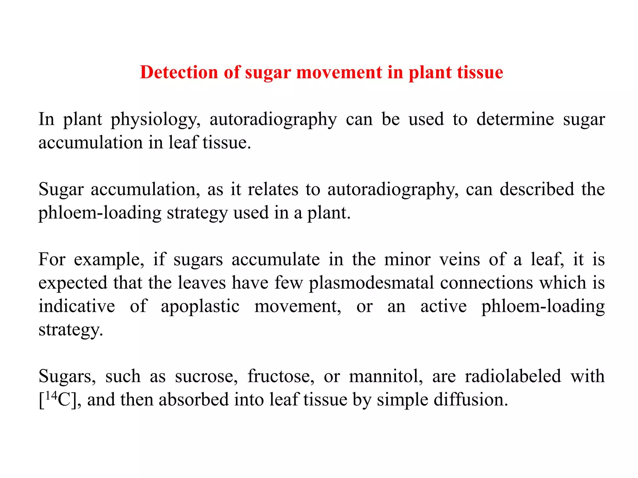 Autoradiography | PPTX