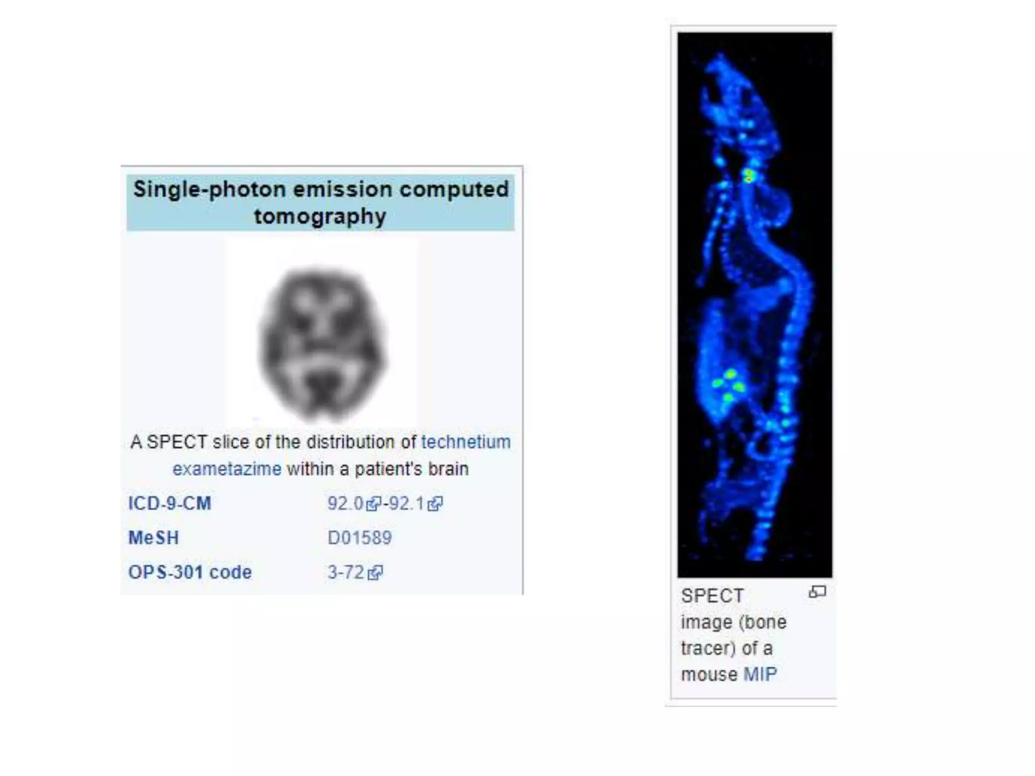 Autoradiography | PPTX