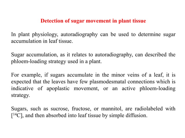 Autoradiography | PPTX