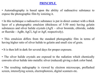 Autoradiography | PPTX