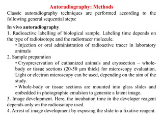 Autoradiography | PPTX