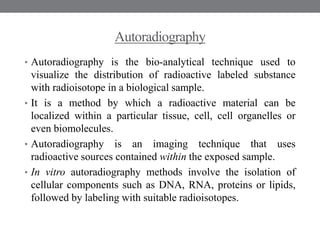 Autoradiography | PPTX