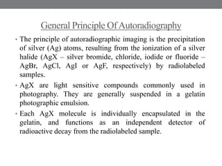 Autoradiography | PPTX