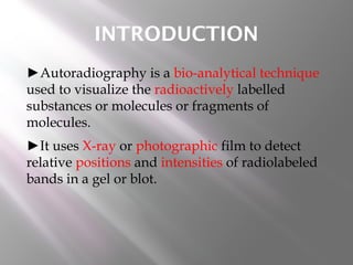 Autoradiography | PPT