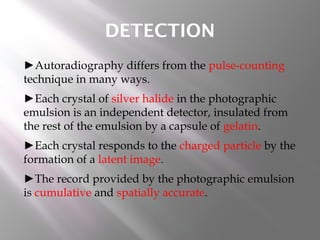 Autoradiography | PPT