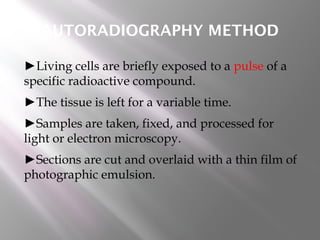 Autoradiography | PPT