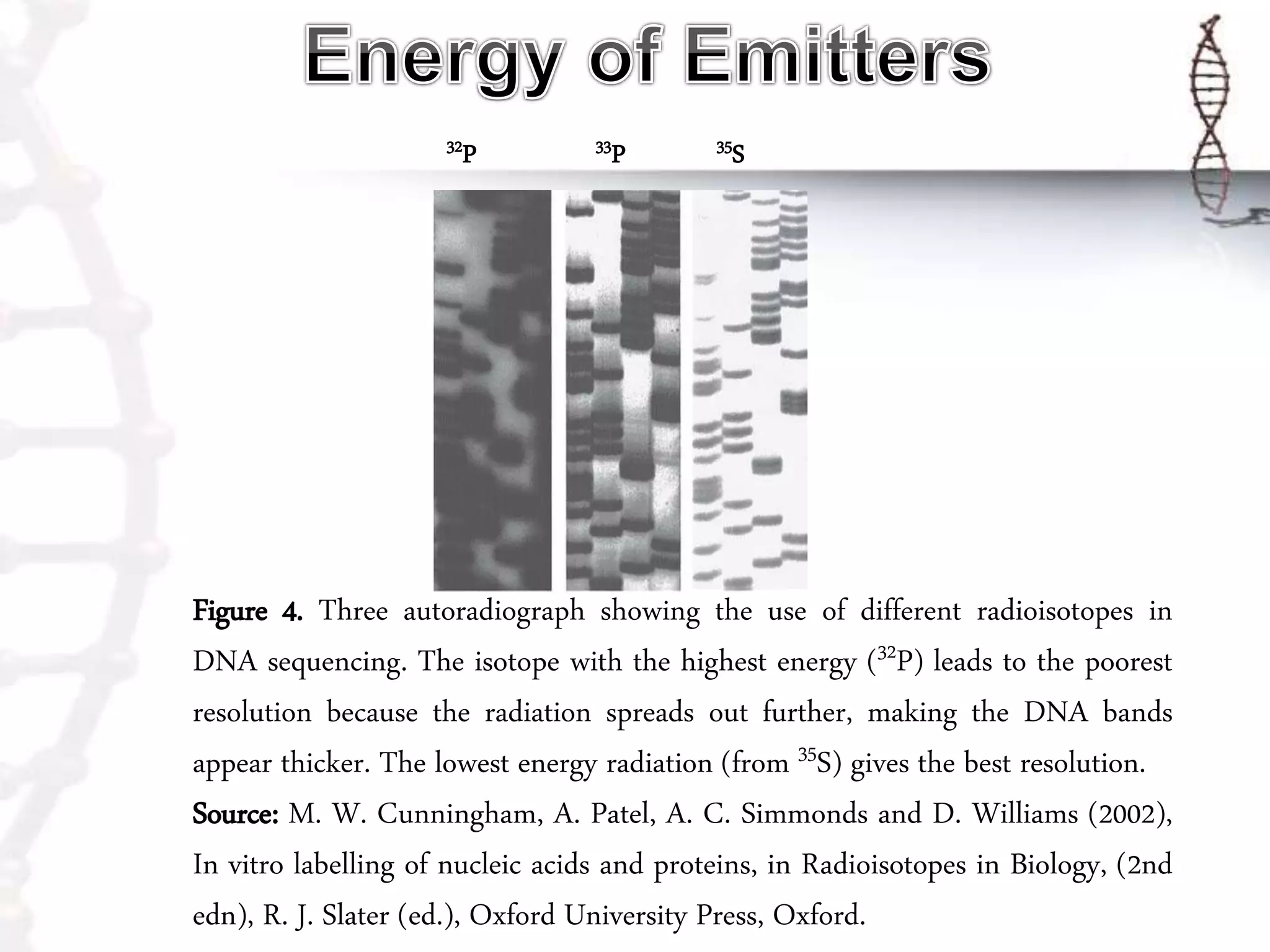 Autoradiography | PPTX