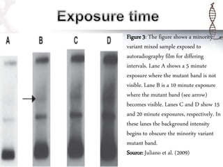 Autoradiography | PPTX