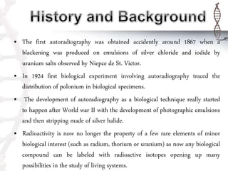 Autoradiography | PPTX