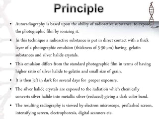 Autoradiography | PPTX