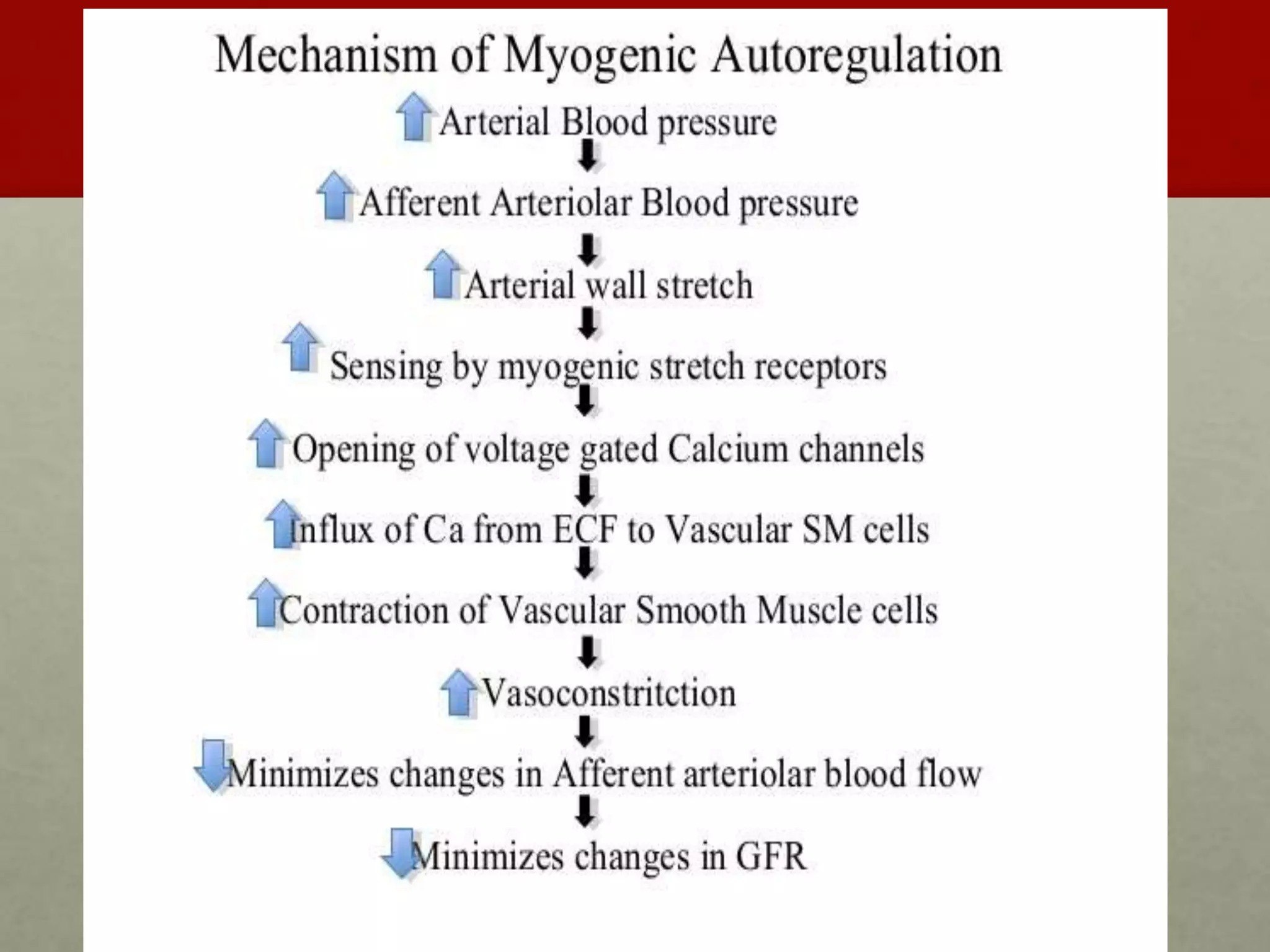 Autoregulation : Role and mechanism | PPTX