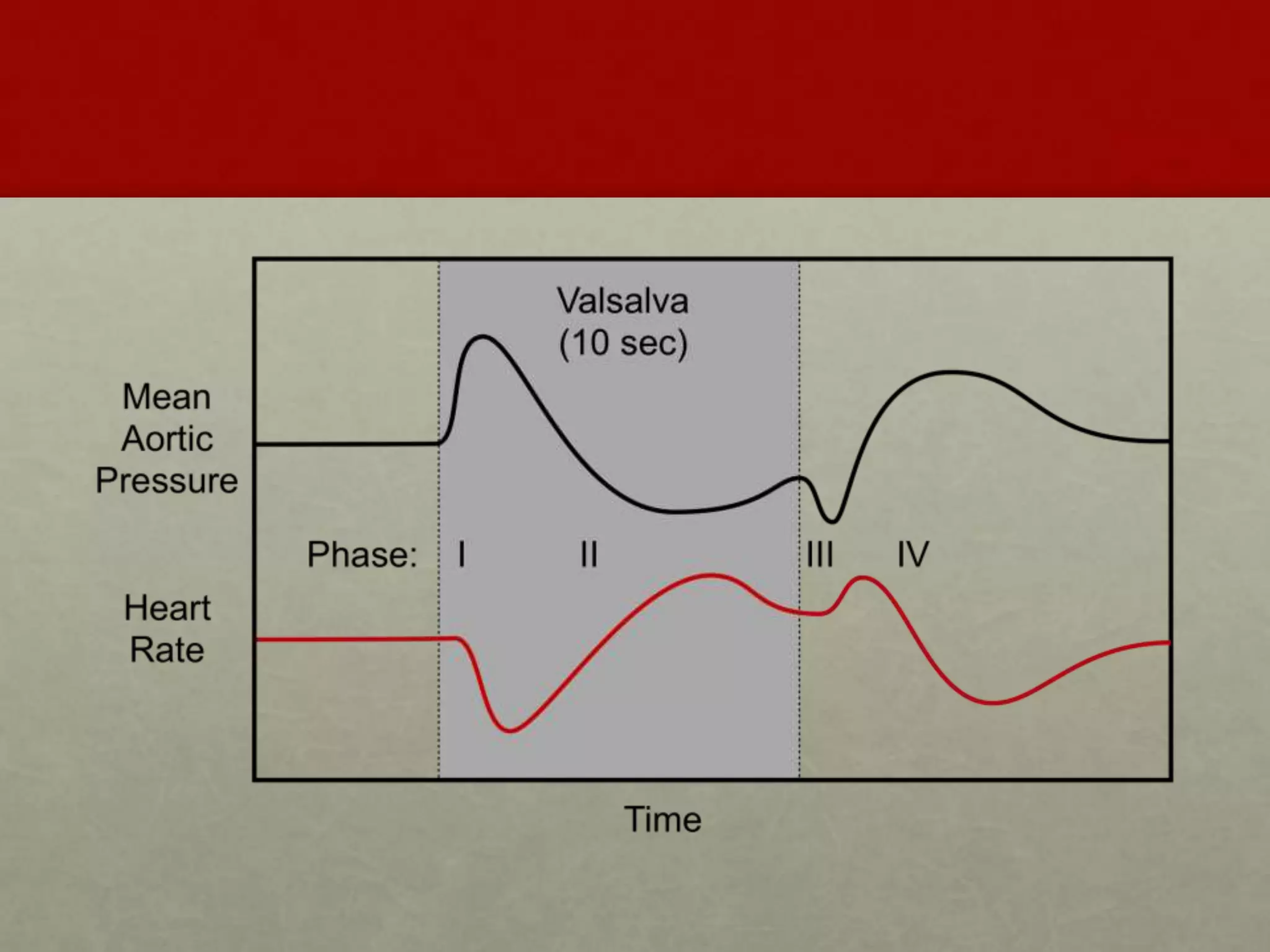 Autoregulation : Role and mechanism | PPTX