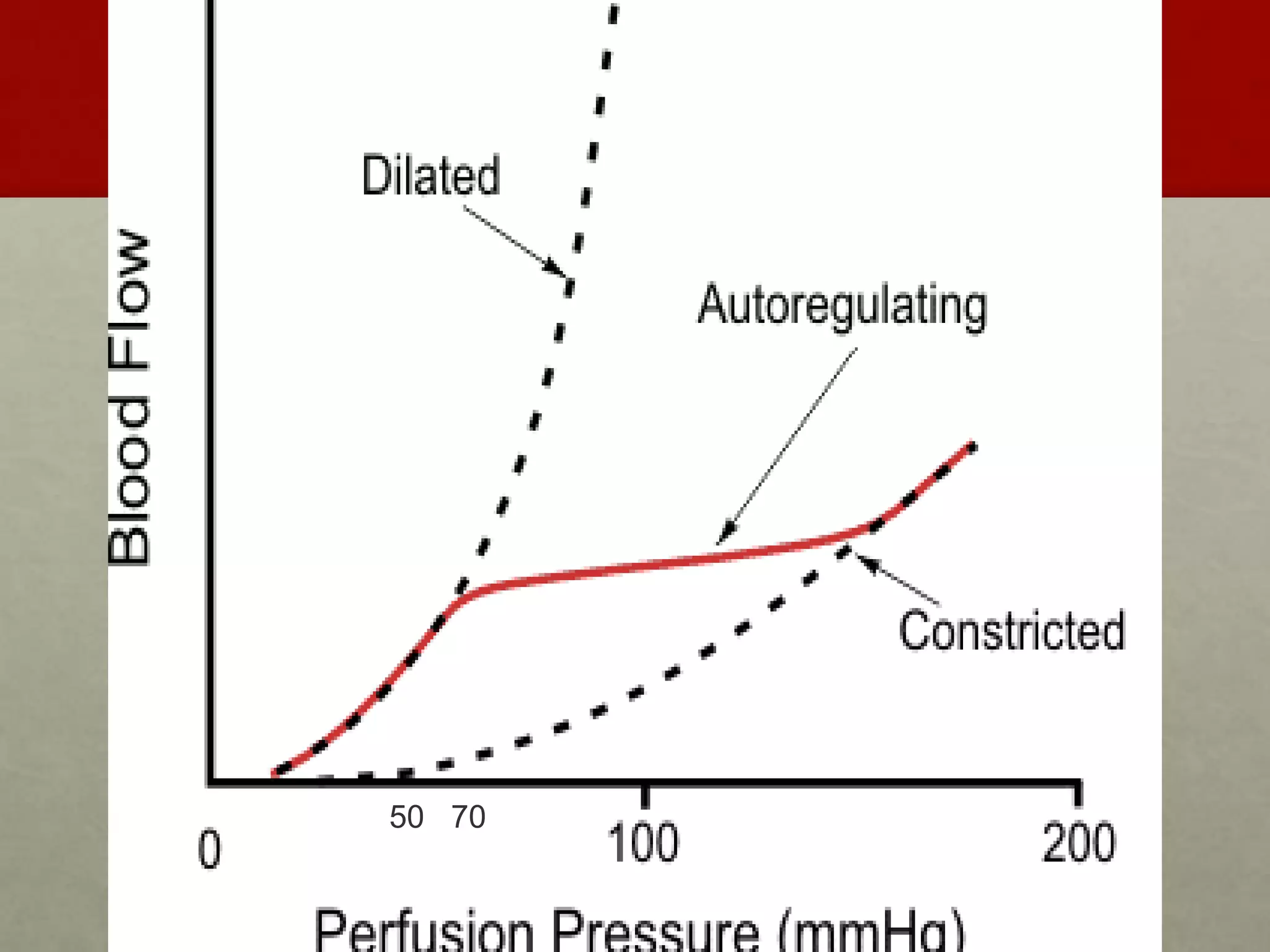 Autoregulation : Role and mechanism | PPTX