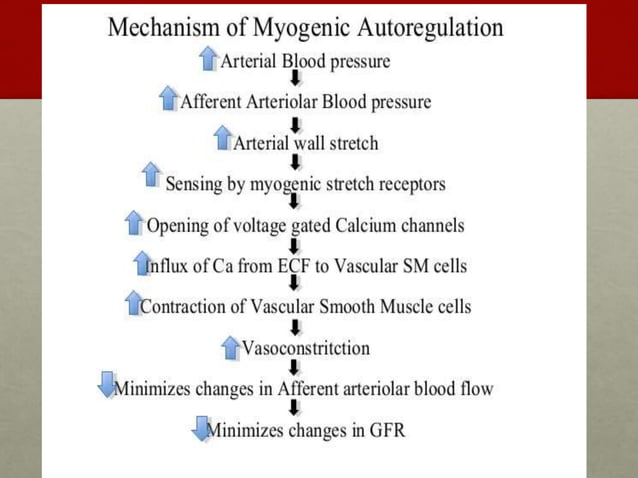 Autoregulation : Role and mechanism | PPTX
