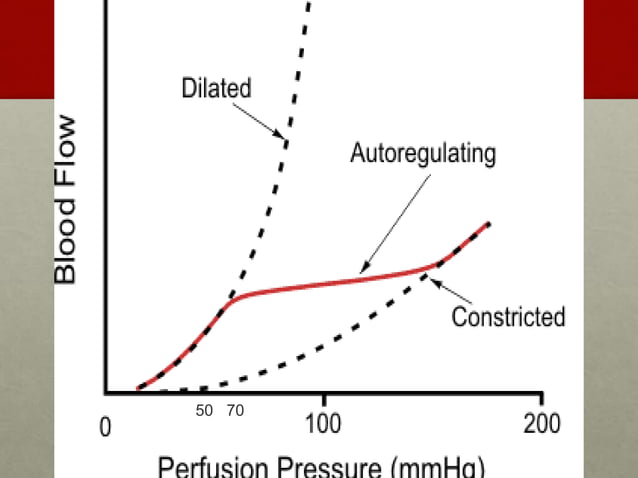 Autoregulation : Role and mechanism | PPTX