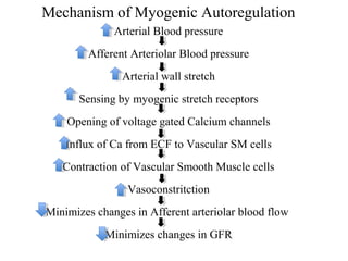Autoregulation of Glomerular Filtration Rate | PPT