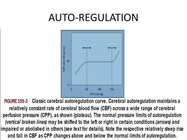 Autoregulation of cerebral blood flow part 1/2 | PPT | Brain and ...