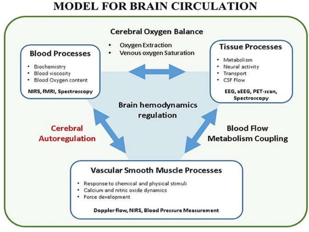 Autoregulation of cerebral blood flow part 2/2 | PPT